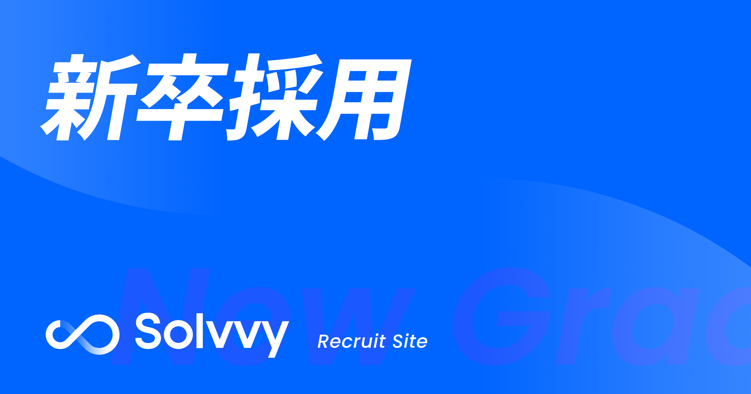 新卒採用｜株式会社Solvvy 採用サイト